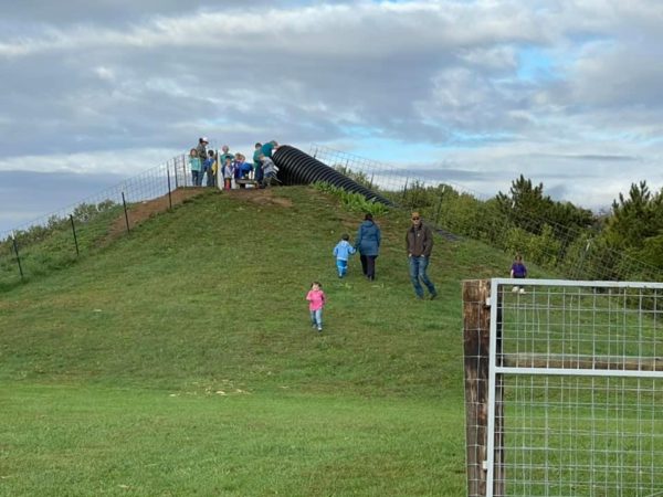 Check Out Our Picture Gallery - Hobson Adventure Farm